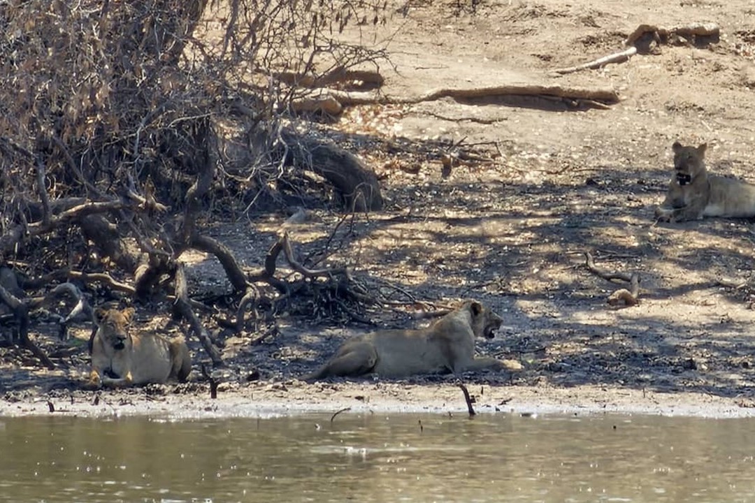 Traditional weather forecasting methods - ZimbOriginal